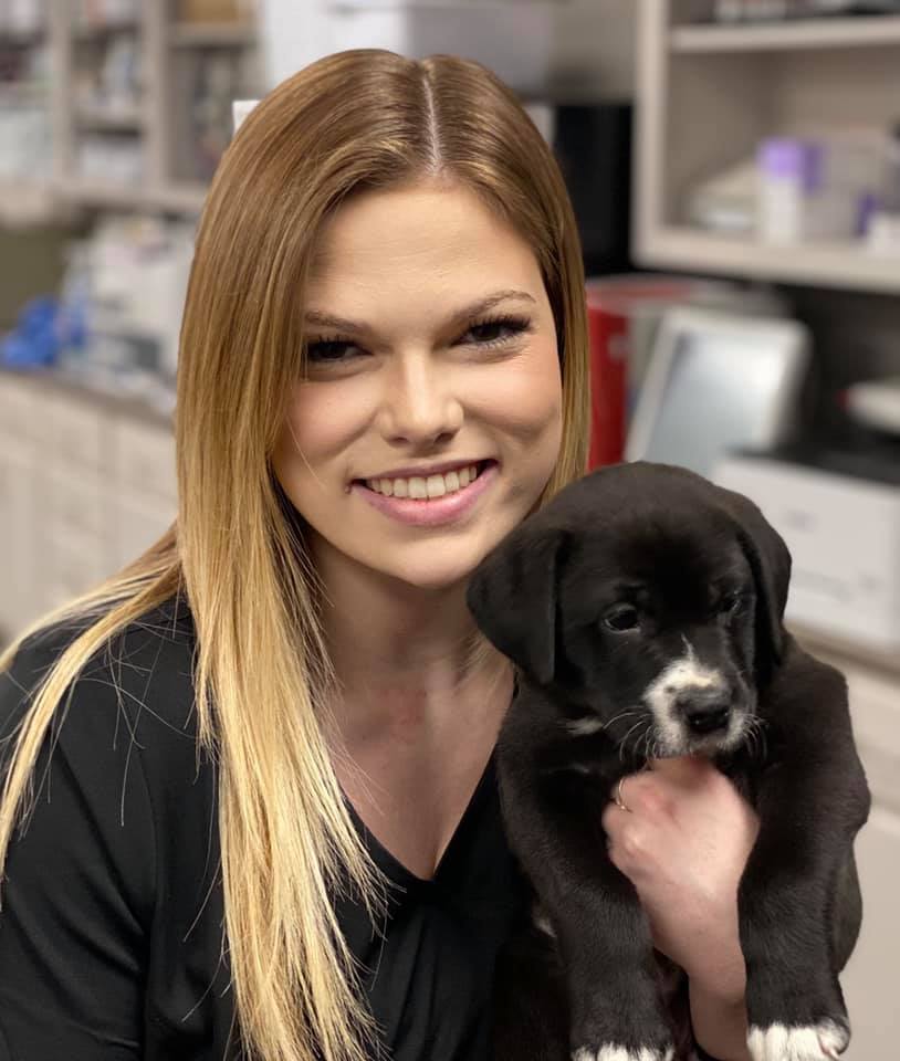 Our Team – Philema Animal Hospital