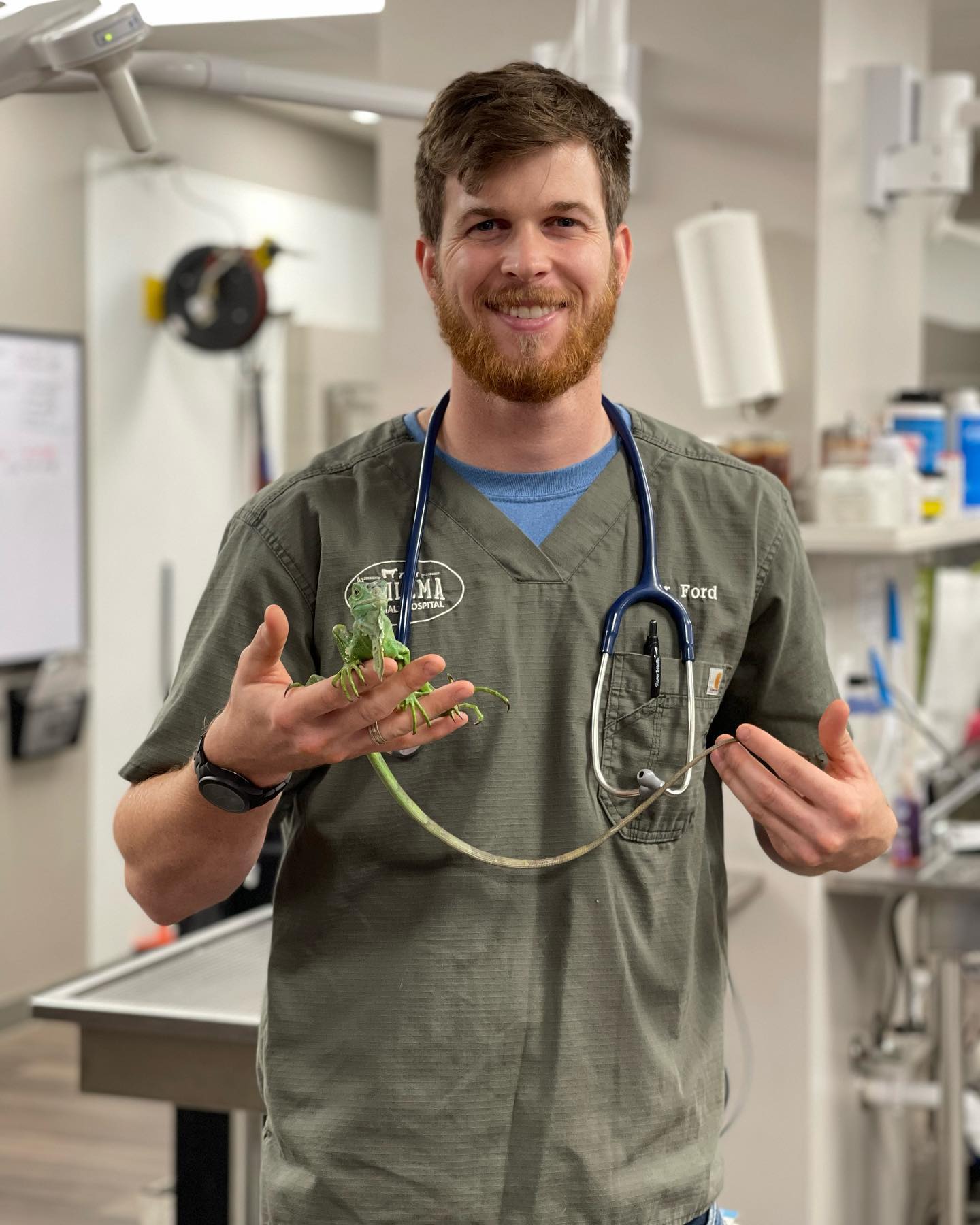 Exotics – Philema Animal Hospital