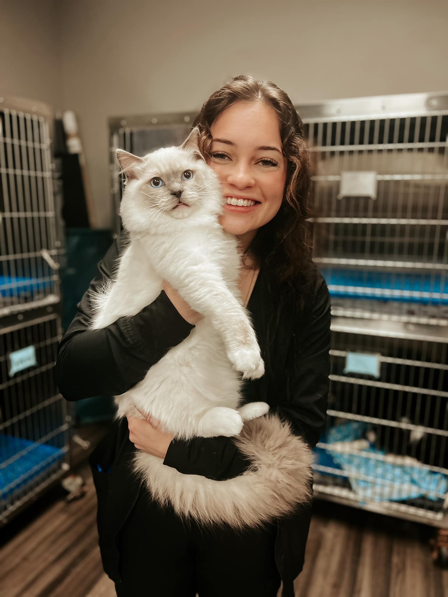 Our Philema Family – Philema Animal Hospital