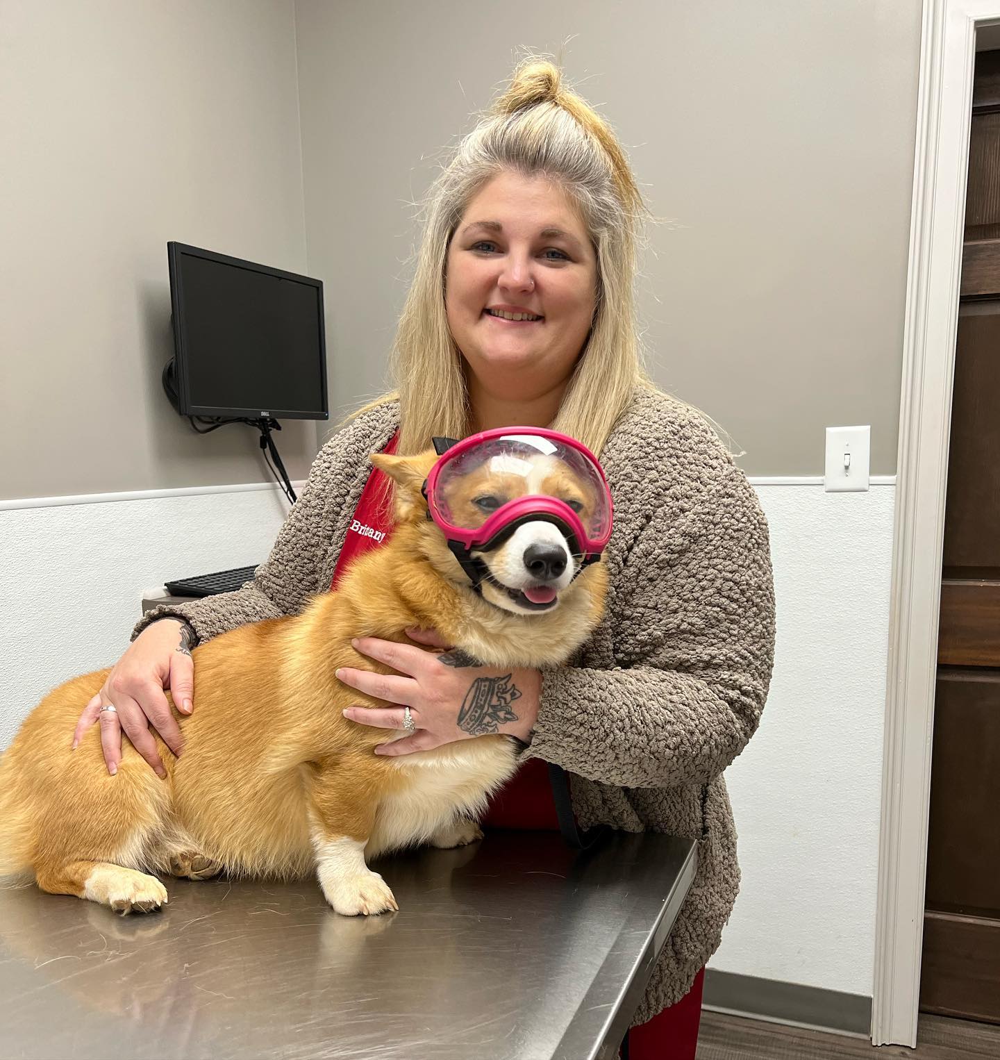 Our Philema Family – Philema Animal Hospital