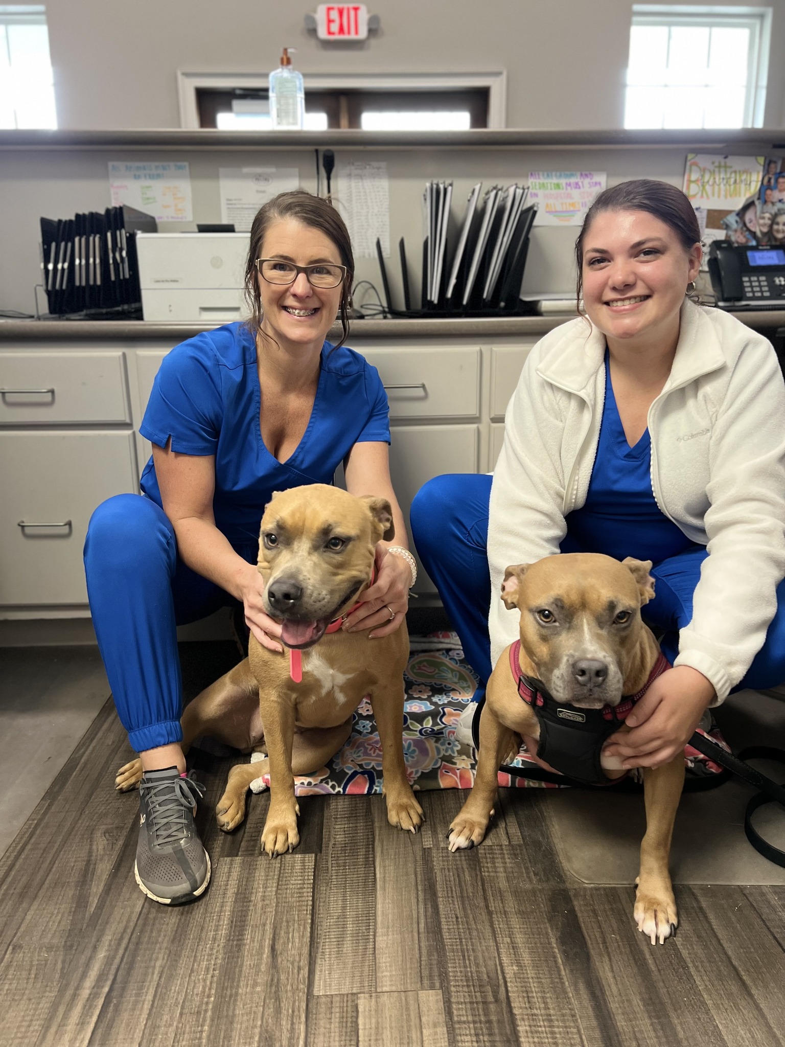 Our Philema Family – Philema Animal Hospital
