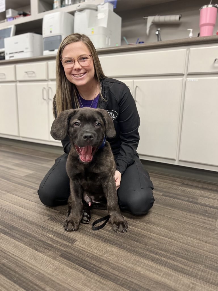 Our Philema Family – Philema Animal Hospital