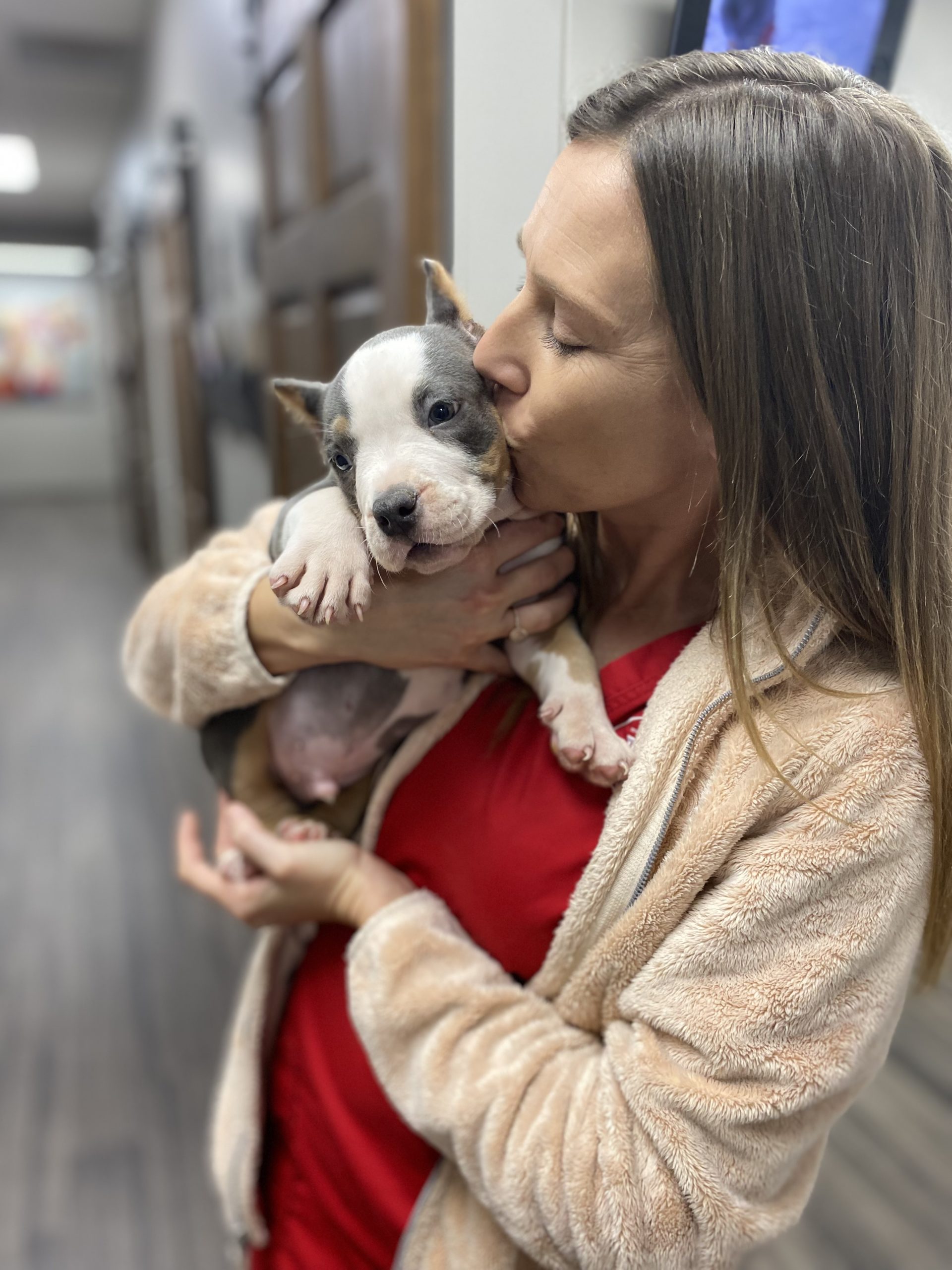 Our Philema Family – Philema Animal Hospital